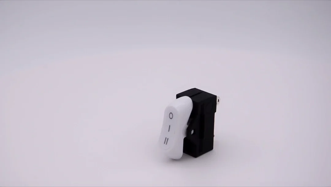 Cqc Ce T100/55 10a 250v Wipp Schalter Schwarzer Haartrockner Schalter ...