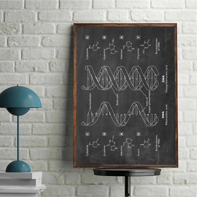 Dna Patent Wall Art Genetics Posters Print Biology Wall Decor Vintage ...