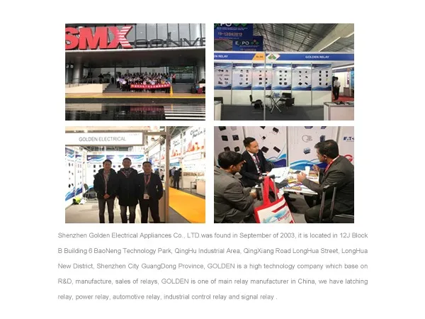 Shenzhen Golden Electrical Appliances Co., Ltd. - General purpose relay ...
