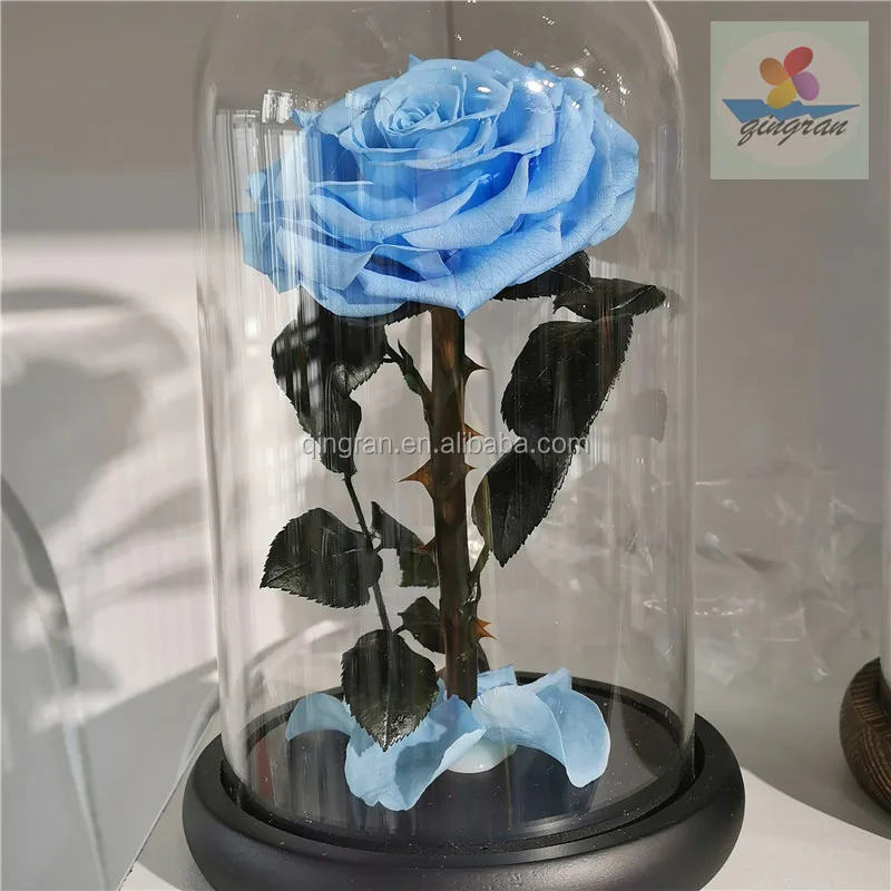 Wholesale Preserved Roses in Glass - Long-Lasting Gifts