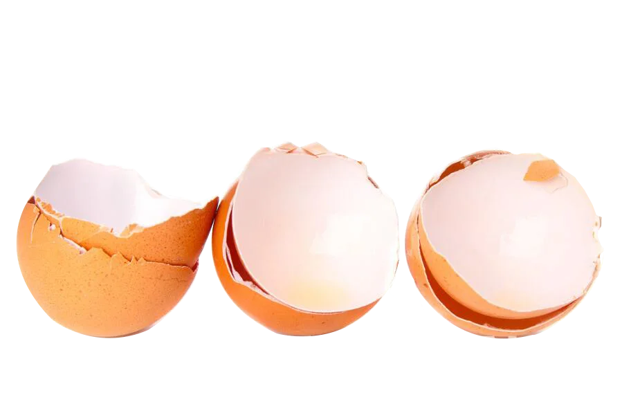 HONGDA Food Grade Instant Noodle Chicken Egg Shell Powder Price