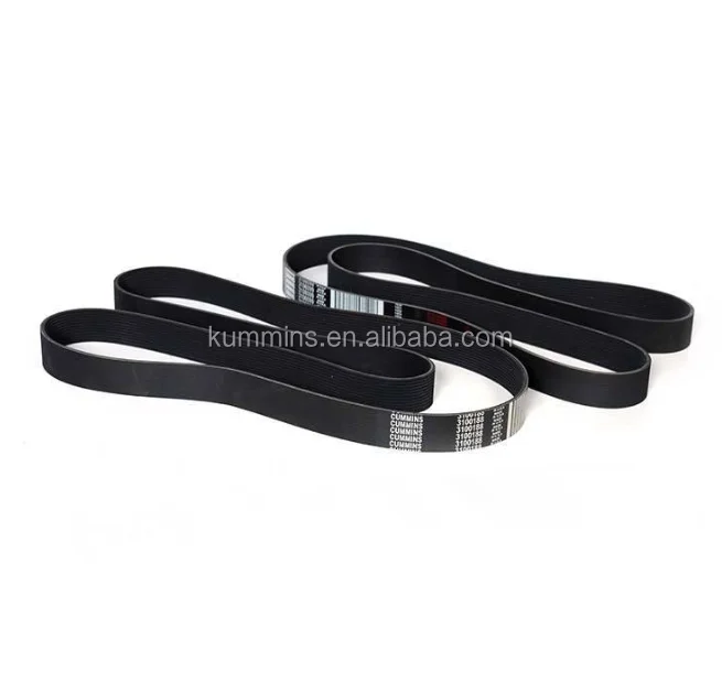 Qsx15 Isx15 X15 Diesel Engine Parts V Ribbed Belt 12pk2255 3106099 ...