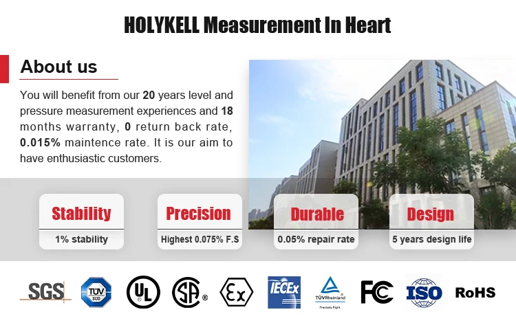 Holykell 3 Wire NTC RTD PT100 Temperature Sensors -50 to 100