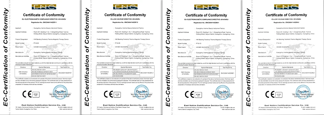 Company Overview - Guangzhou Hanmei Beauty Instrument Factory