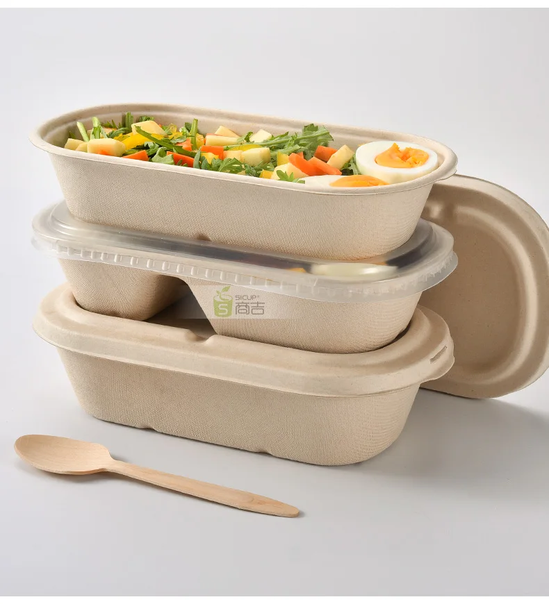 To Go Container Wheat Straw Fiber Pulp Bagasse Takeaway Disposable ...