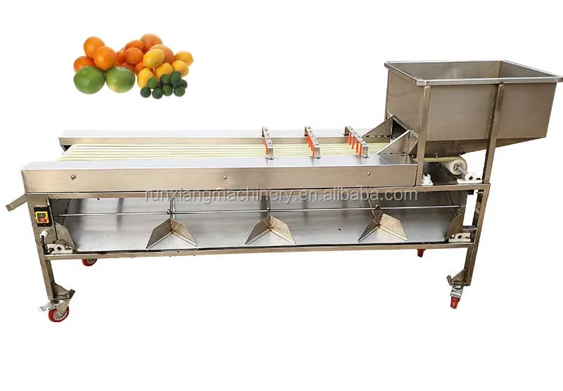 Efficient Fruit and Vegetable Sorting Machine - 304 Stainless Steel