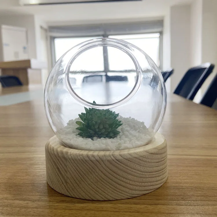 Decorative Clear Glass Ball Terrarium with Wooden Base