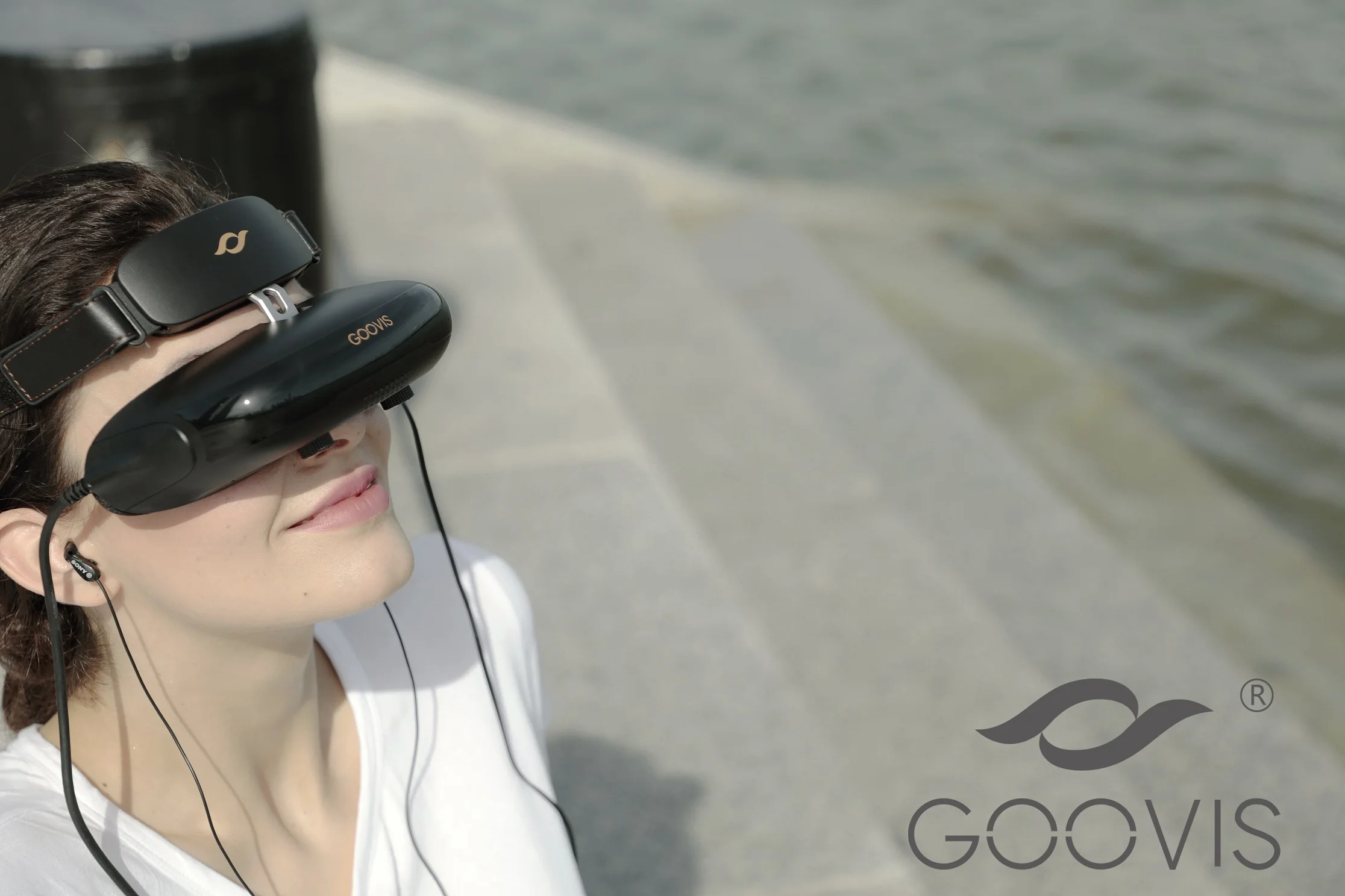 Goovis Pro With Controller Vr Headset Goovis Vr Goggles Goovis ...