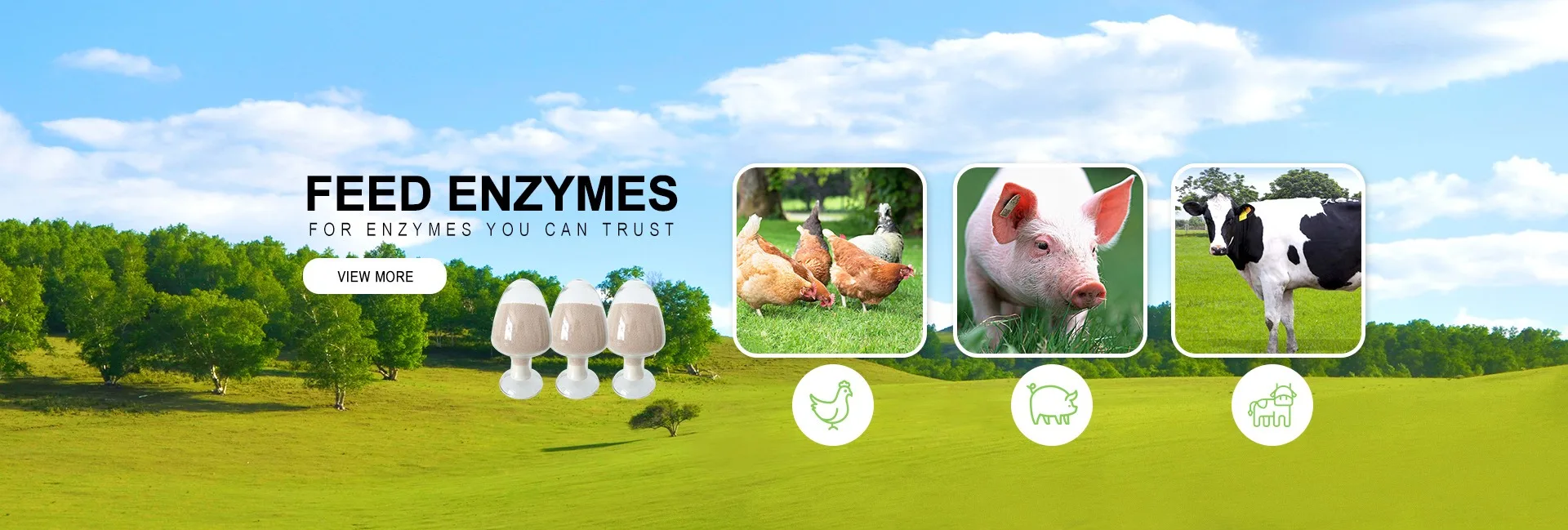 Sunson Industry Group Co., Ltd.