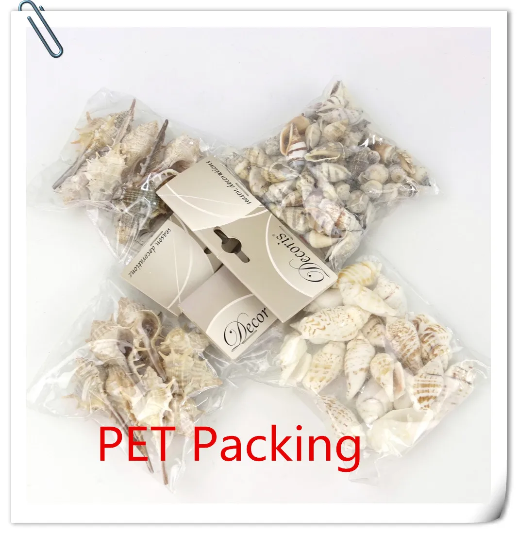 Single Shells Or Assorted Sea Shell Natural Packed By Net Bag Or Kraft ...