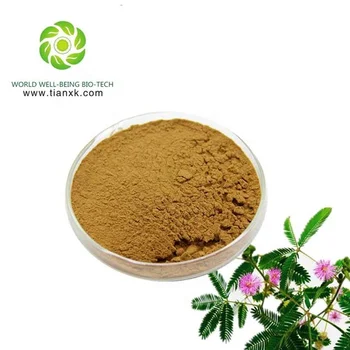 Mimosa Pudica Extract 10:1 Sensitive Plant Extract Mimose Extract ...