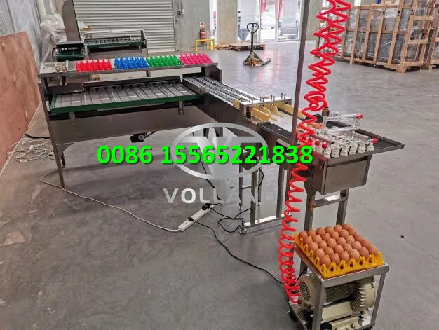 Newest Egg Weight Grader/egg Classifier Machine With Vacuum Egg Suction ...