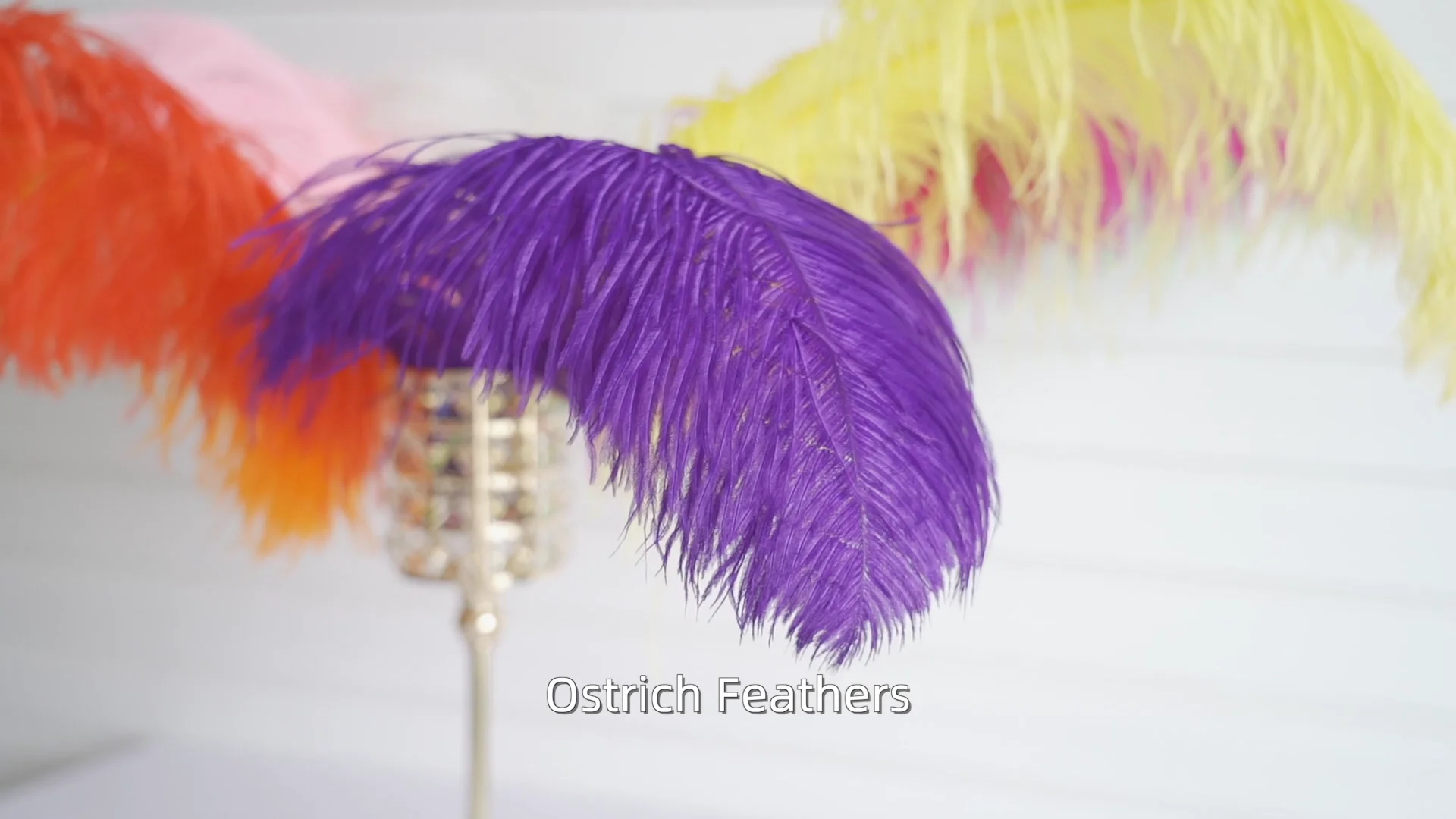 Wholesale Suppliers Large 65-70 Cm White Carnival Festival Ostrich ...