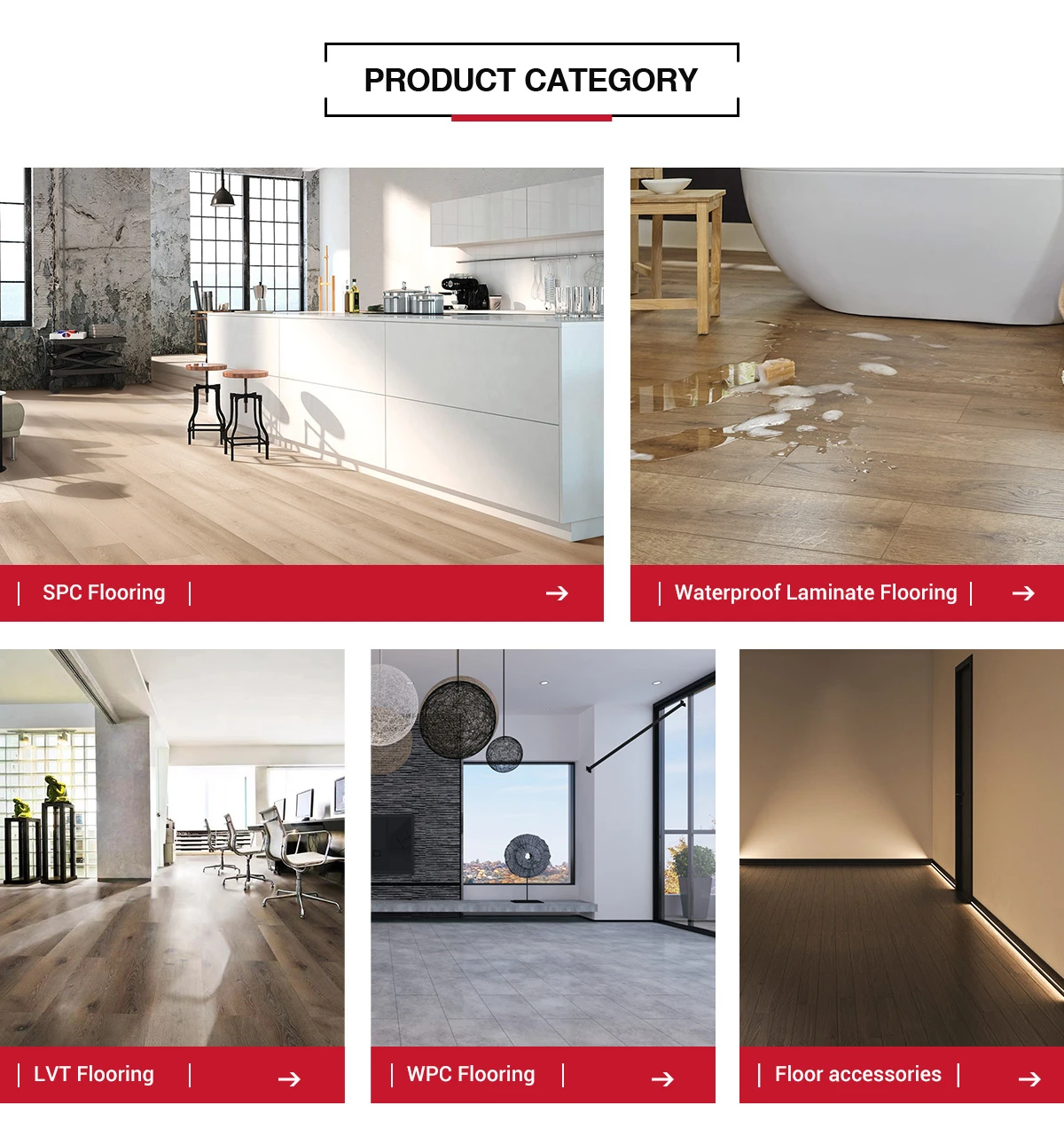 Protex International Limited