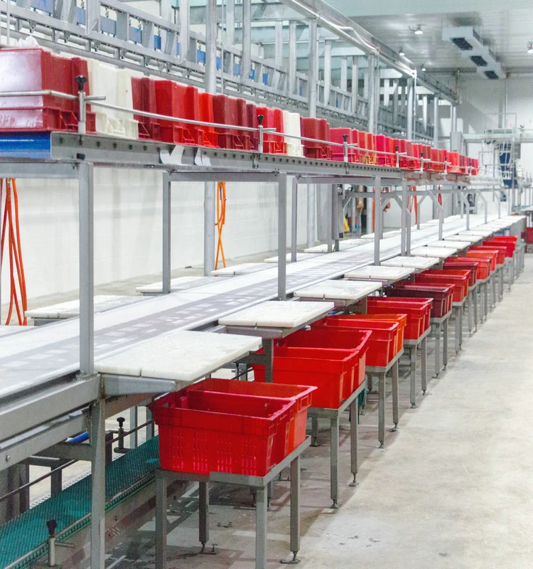 CE Standard Automatic Meat Beef Cutting Processing Belt Conveyor