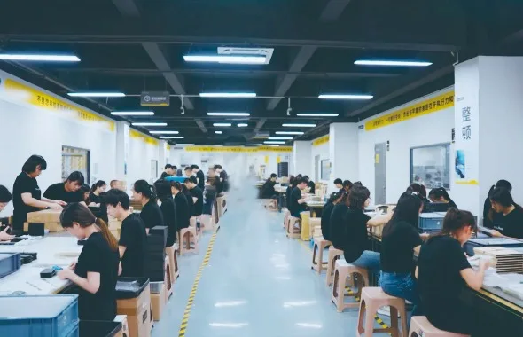 Company Overview - Shenzhen Sunlong Technology Co., Ltd.