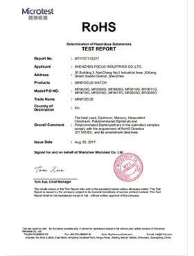 Company Overview - Shenzhen Guanhao Technology Co., Ltd.