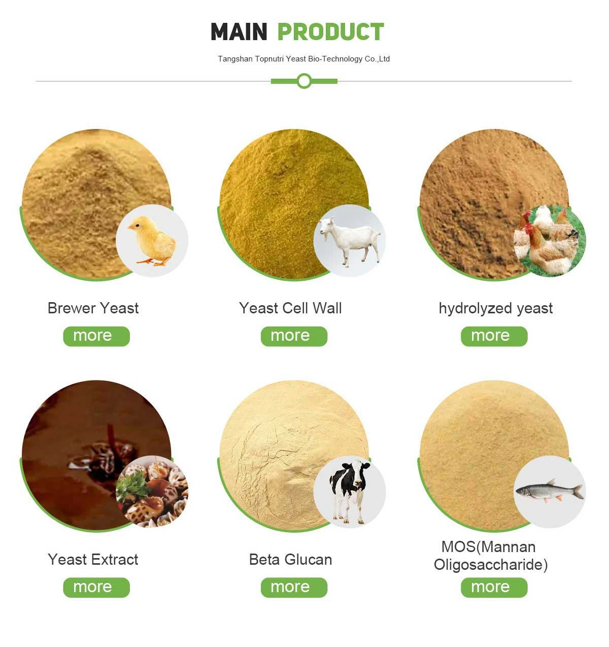 Tangshan Topnutri Yeast Bio-Technology Co., Ltd. - Brewer Yeast, Yeast ...