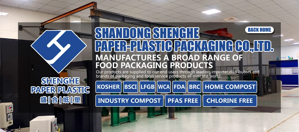Company Overview - Shandong Shenghe Paper-Plastic Packaging Co., Ltd.