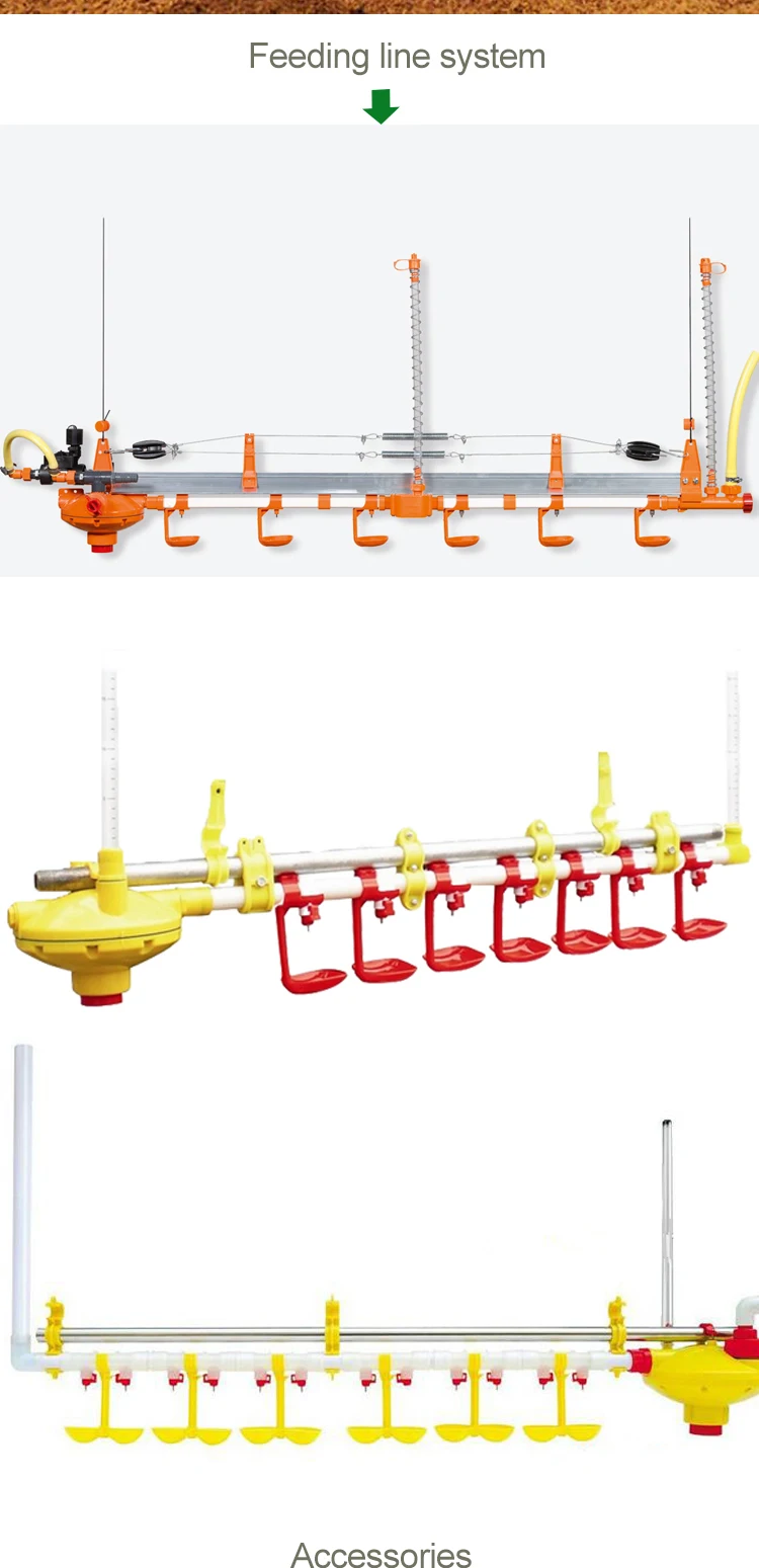 Poultry Nipple Drinking System - Efficient Water Line