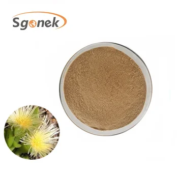 Natural High Quality Kanna Sceletium Tortuosum Extract Mesembrine Price ...