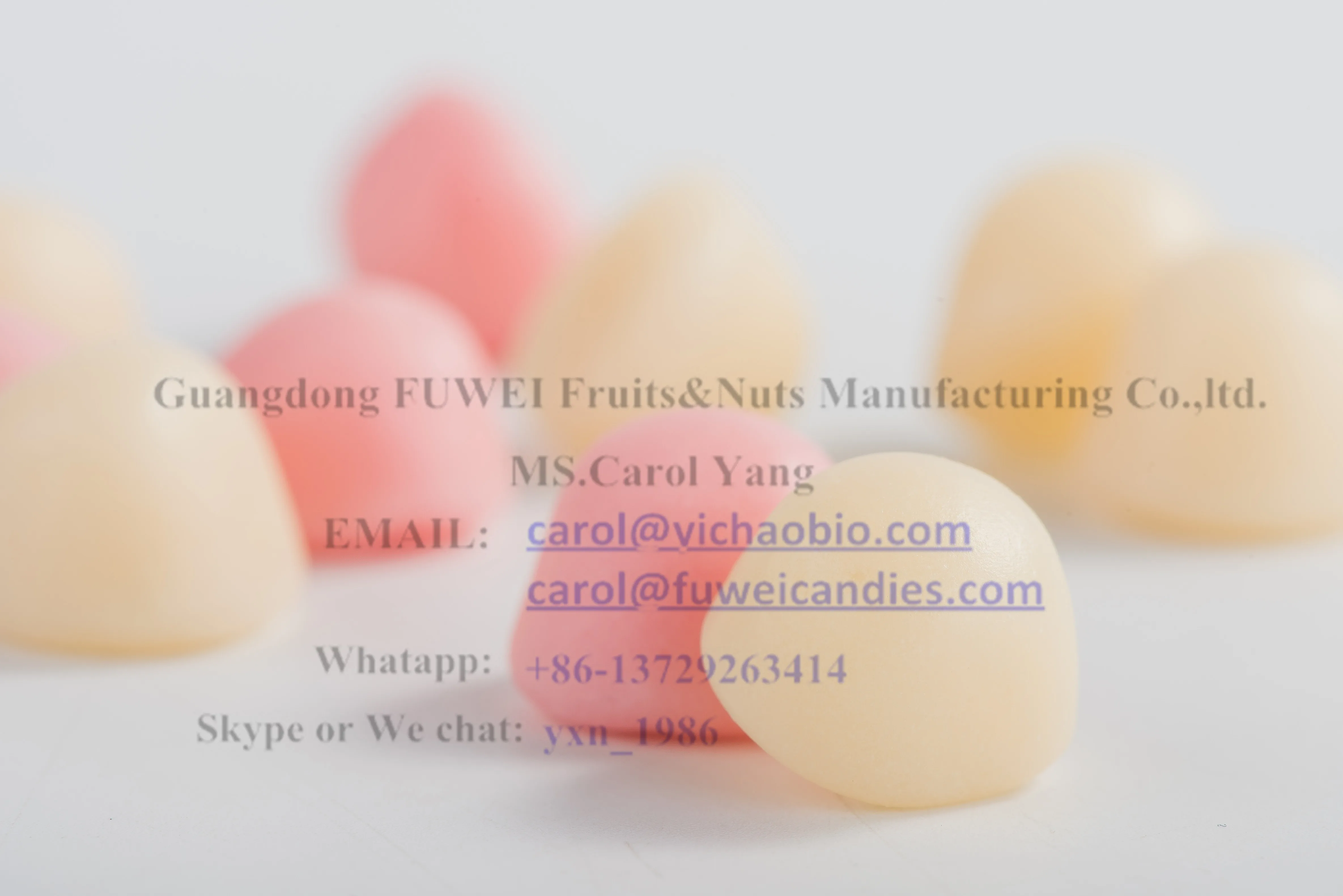 Probiotic Digestive Gummies with Bacillus Coagulans 500m to 5b CFU