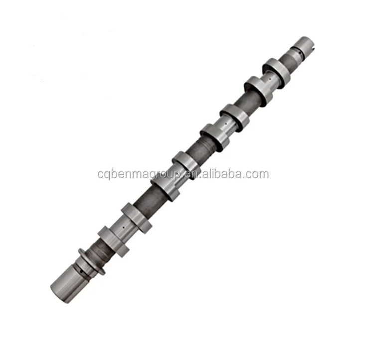 8200100527 8200100528 130205358R Camshaft for Renault K4M