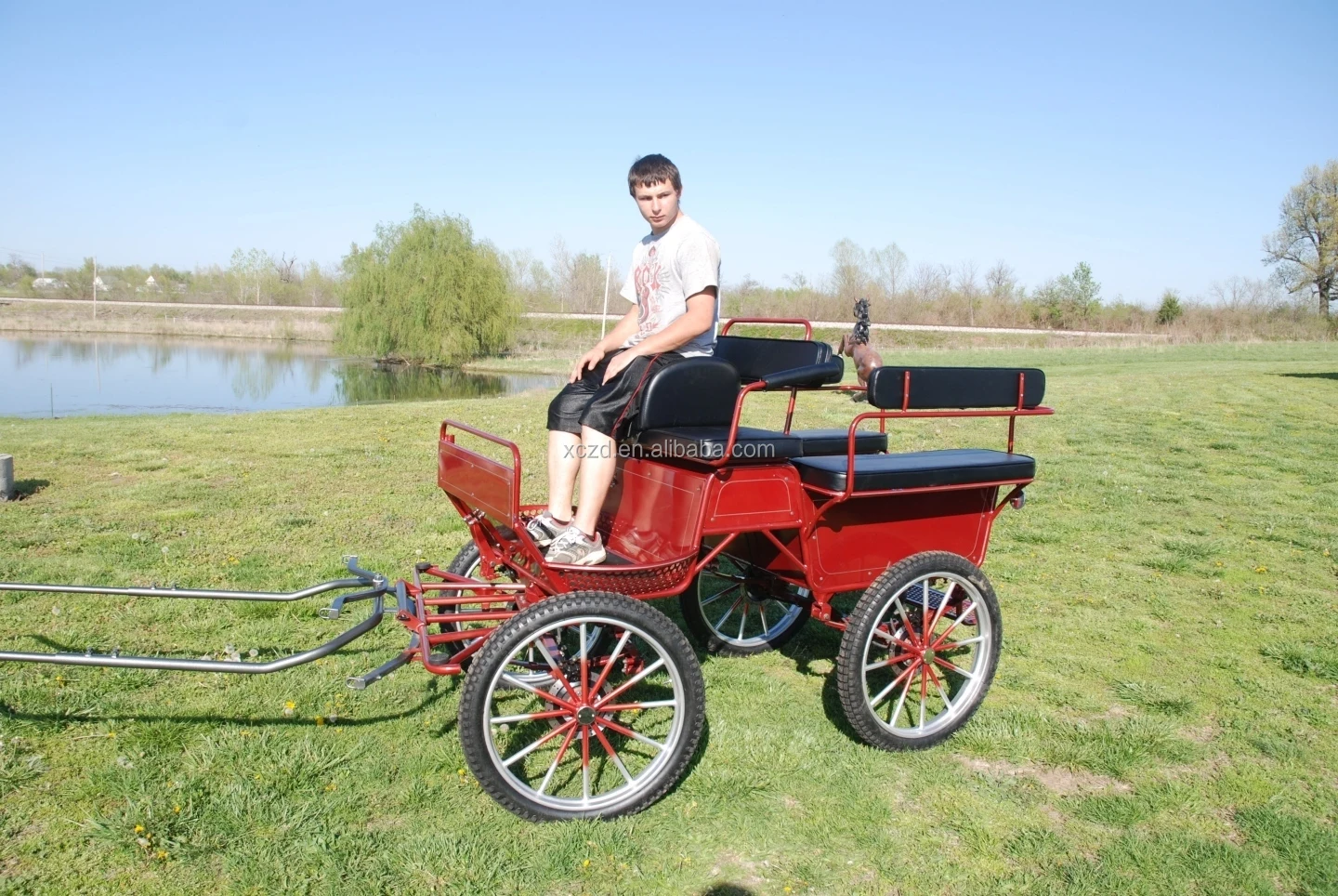 Vintage Pony Horse Carriage - 4 Wheels Mini Horse Cart for Weddings ...