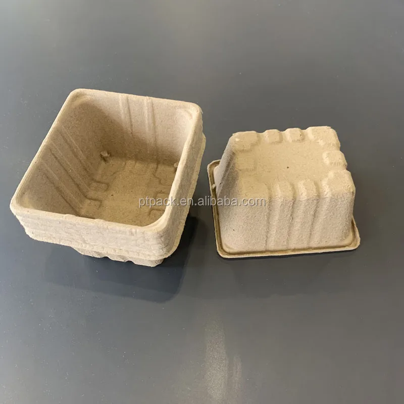 Mushroom Punnet Pulp Molded Tray - Sustainable Packaging
