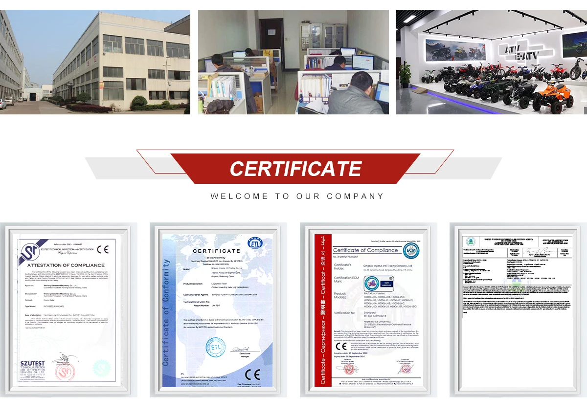 Company Overview - Qingdao Impetus International Trading Co., Ltd.
