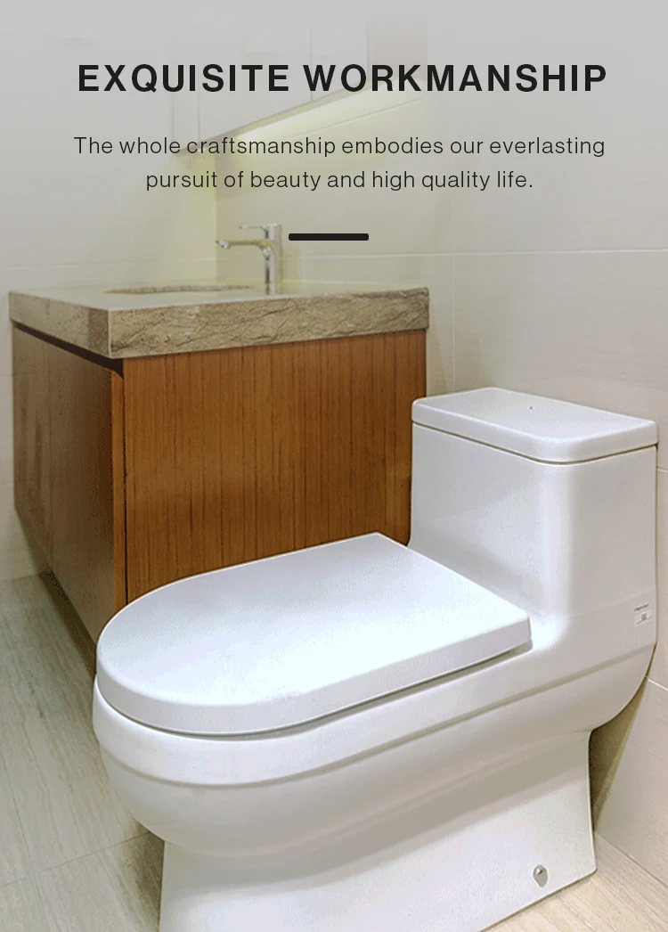 Axent Classic Style One Piece Toilet W588-1131 Ceramic Toilet Bowl ...