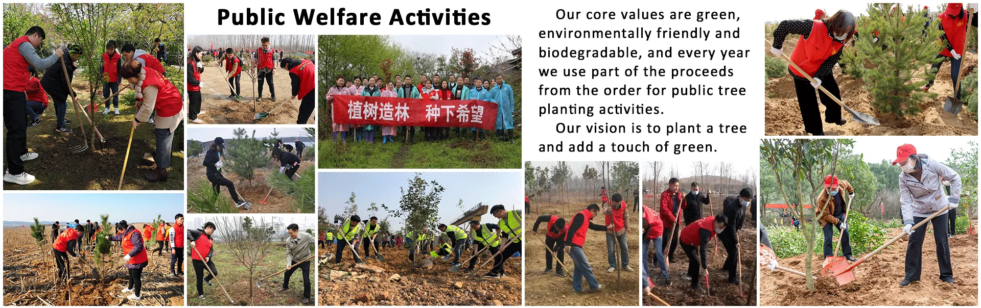 Guangzhou Yuhe Biopak Co., Ltd. - Egg Cartons/Packaging For Electronics ...