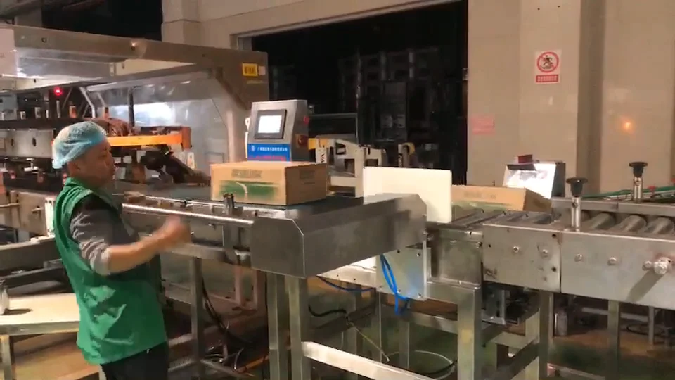 High Precision Big Bag Packing Digital Weight Checker Weight Check ...