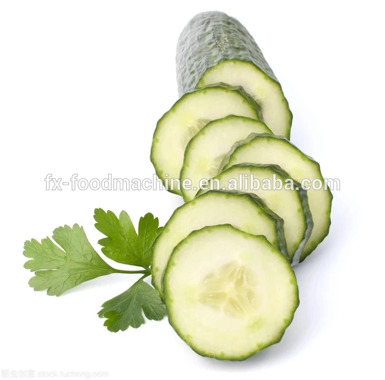 FC-305 Okra Cutting Machine - Efficient & Durable Solutions