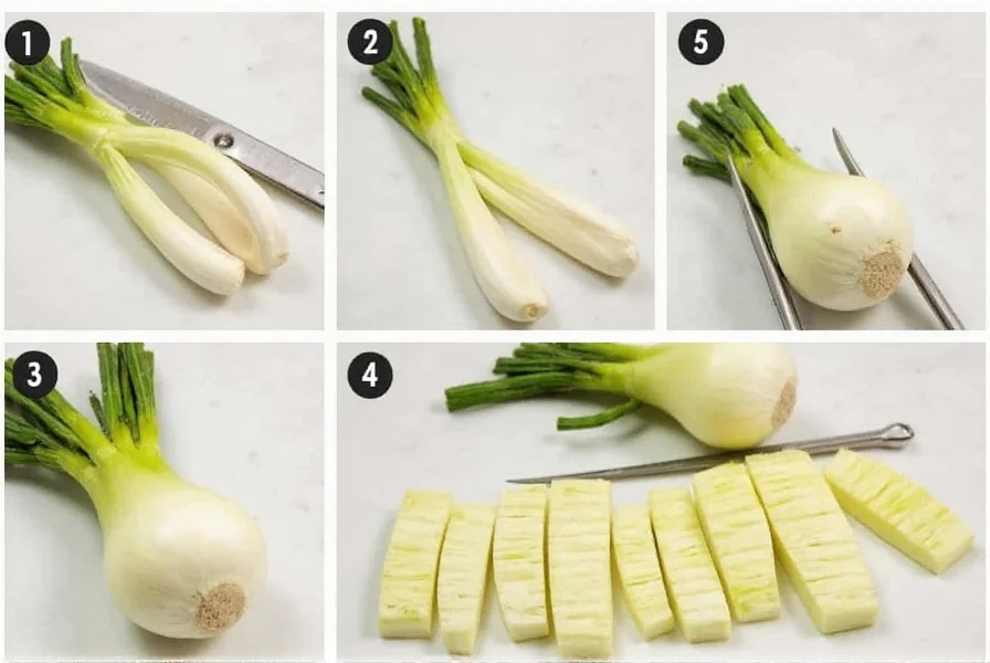 How to Cook Fennel: Simple Methods for Perfect Results