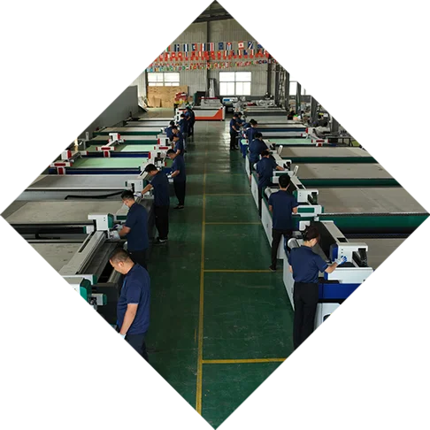 Company Overview - Dr. Bang (shandong) Intelligent Manufacturing Co., Ltd.