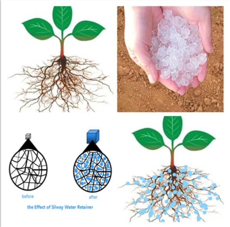 High Performance Hydrogel - Potassium Polyacrylate for Rainfed Agriculture