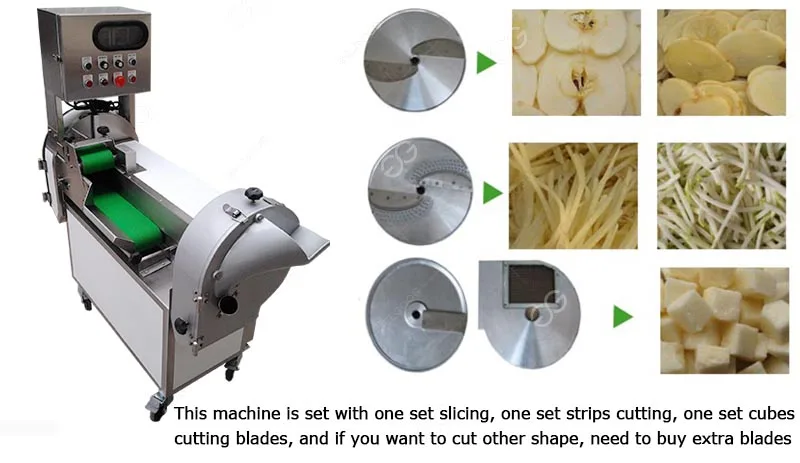 Efficient Seaweed and Kelp Cutter Machine - 1 Year Warranty