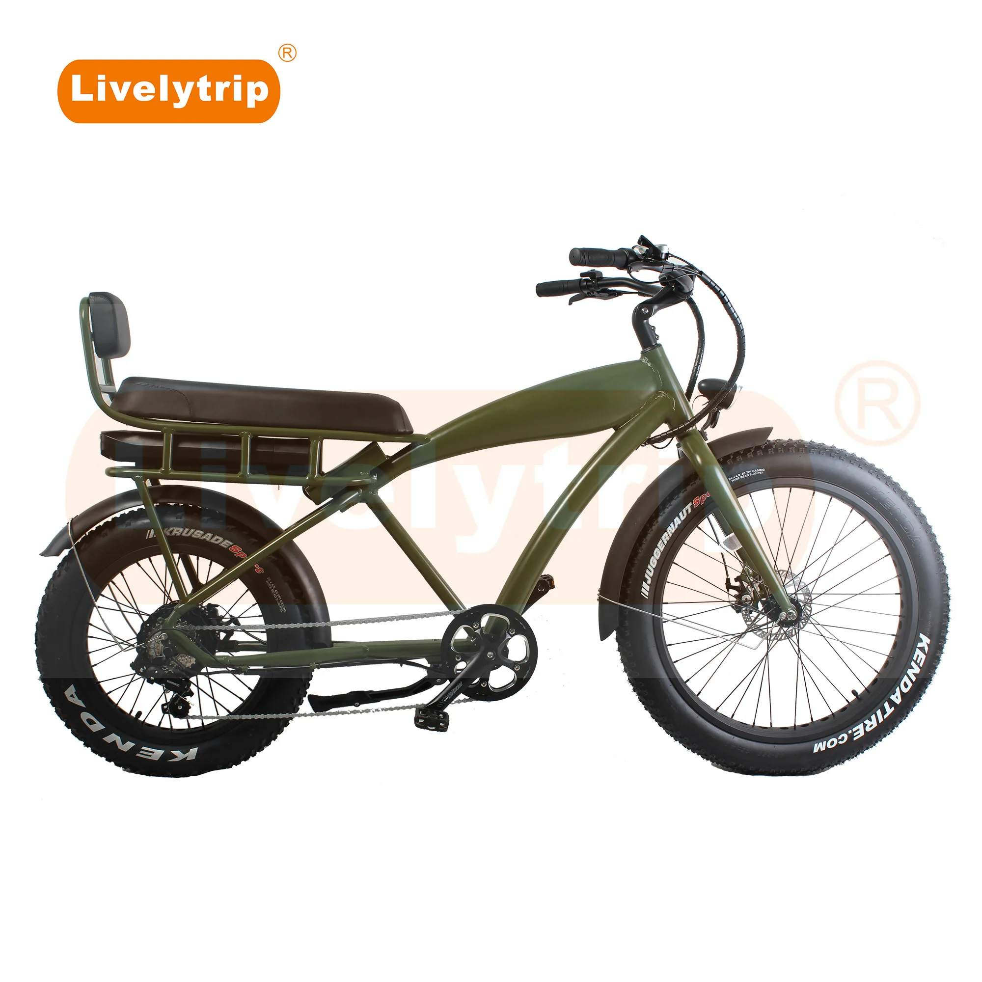 500w Electric Tandem Bike - Fat Tire Ebike for All Adventures