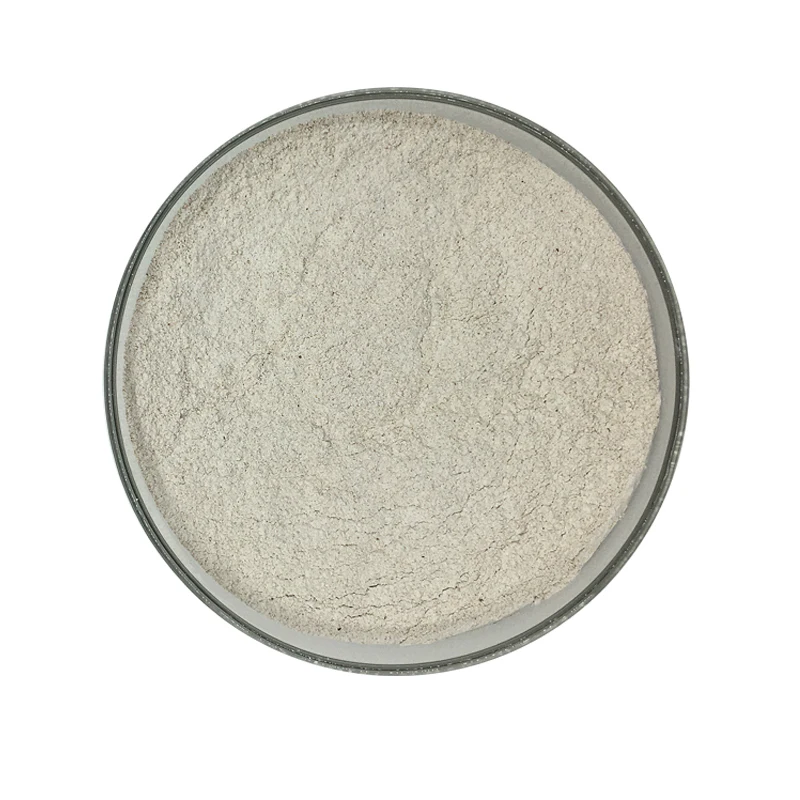 Popular Bulk Probiotic Powder Bacillus Subtilis for Animal Health