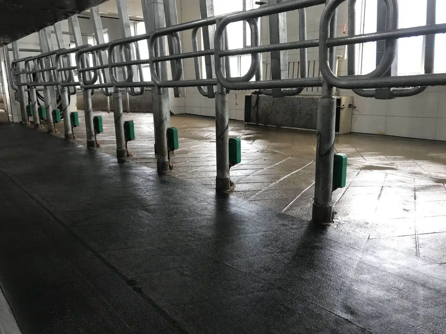 Vinno Cow Identification System Pedometer - High Productivity