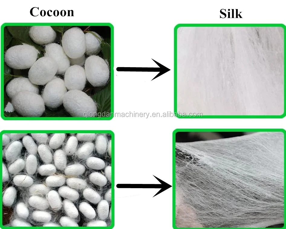 Cocoon Pupa Separating Machine - Efficient & Reliable