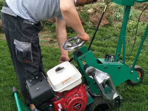 Bermuda Manila Artificial Lawn Mower Sod Transplanting Machine Turf ...