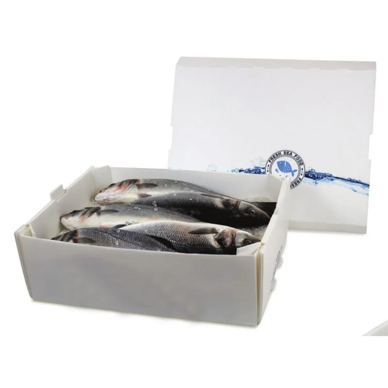 Factory Plastic PP Hollow Sheet Frozen Fish Packing Boxes