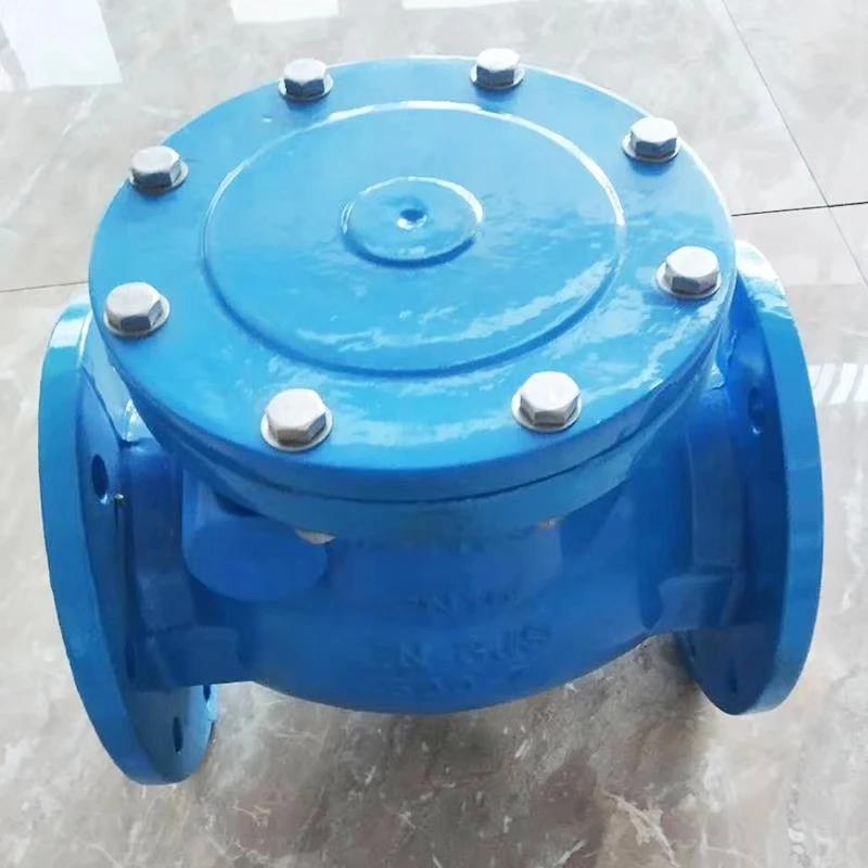 Metal Seat Swing Check Valve with Counterweight - BS5153