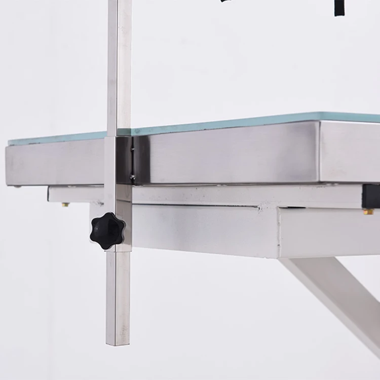 Electric Cross Lifting LED Light Pet Grooming Table for Large Dogs