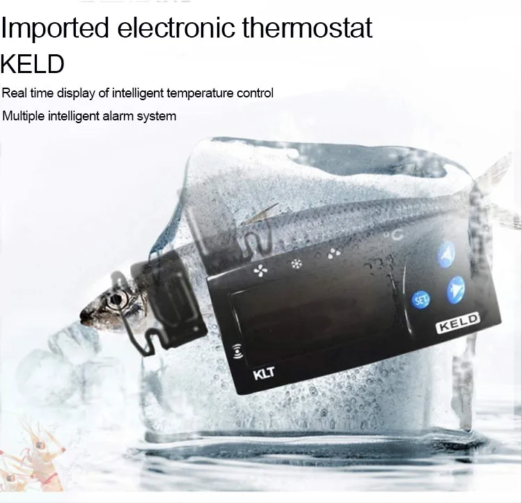 Minus 80 Degree Super Freezer 50 Liters For Tuna And Deep Seafood ...