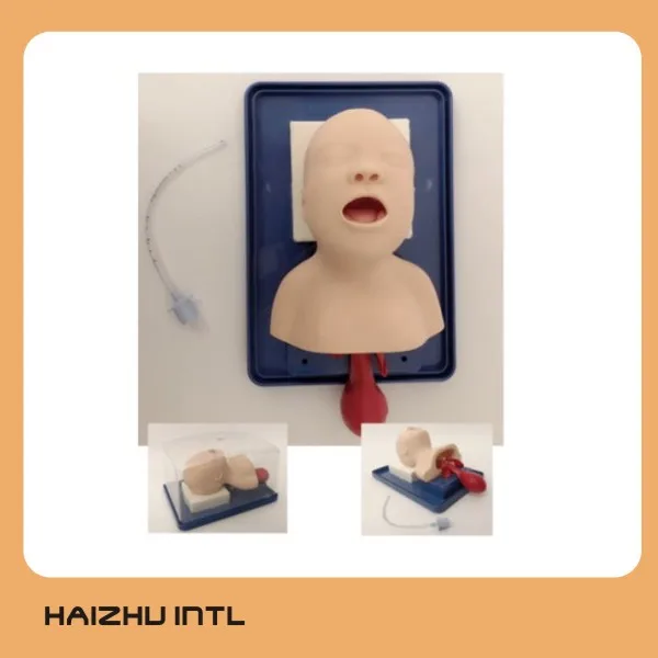First Aid Training Airway Intubation Simulator,Tracheal Intuabtion ...