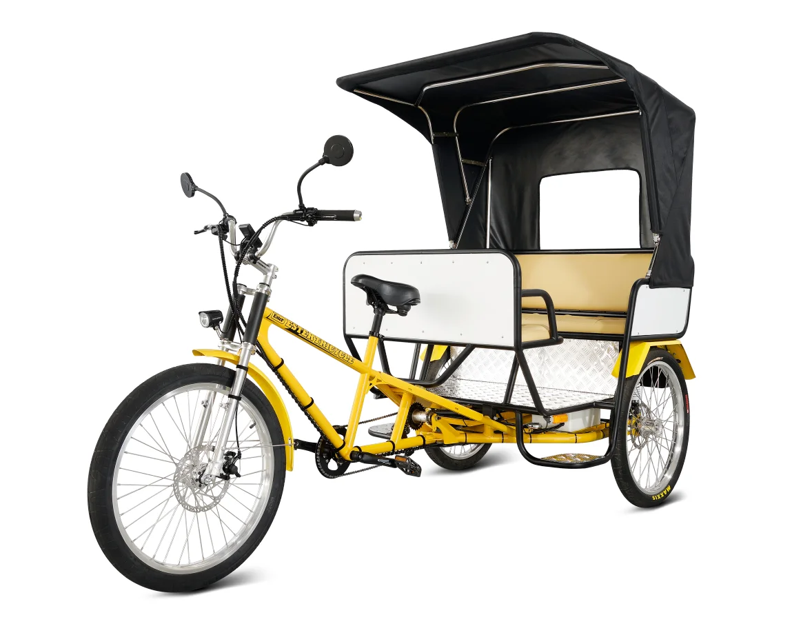 2023 5 Seater Pedicab - Electric Rickshaw with Comfort