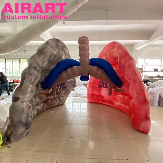 Giant Inflatable Lung - Display Newest Design Product
